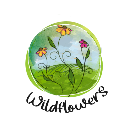 Our Waldorf Homeschool